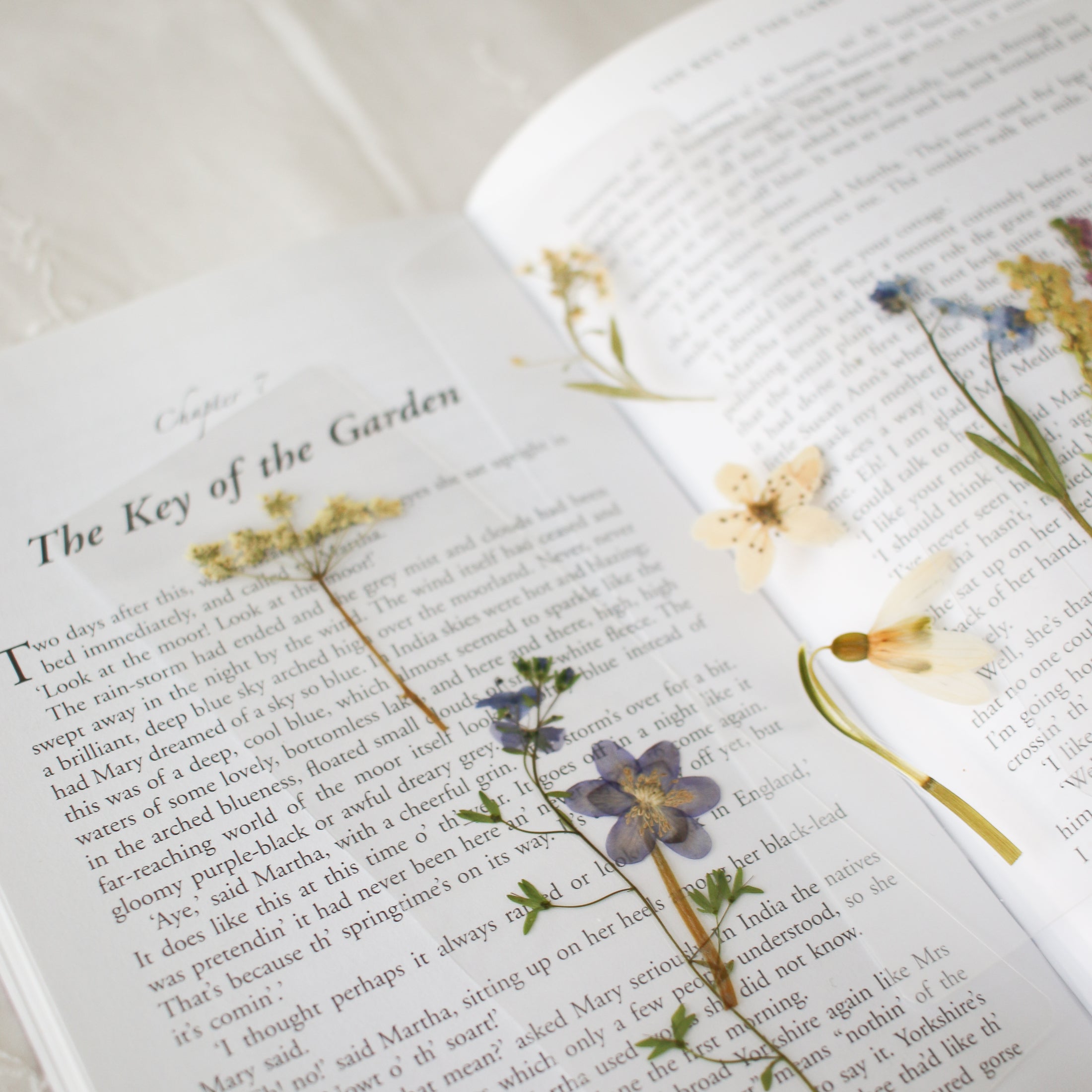 Colin Craven Bookmark – fleurs et temps